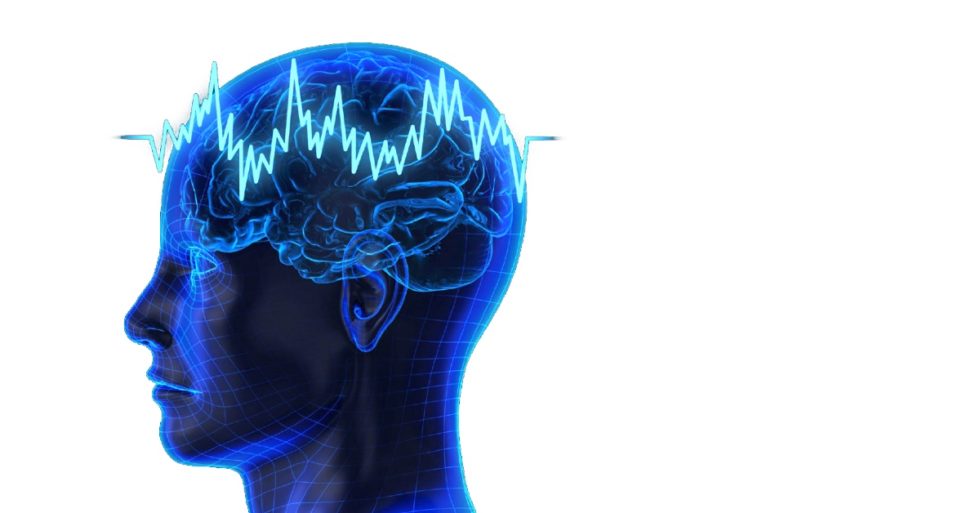 We are our brains: A Beginner's Guide to Neuromodulation - Niraxx ...